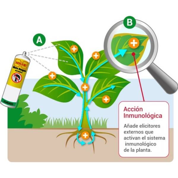 Mata Hongos Hortal – Espuma Fungicida Sistémico En Aerosol – Bonsai del ...